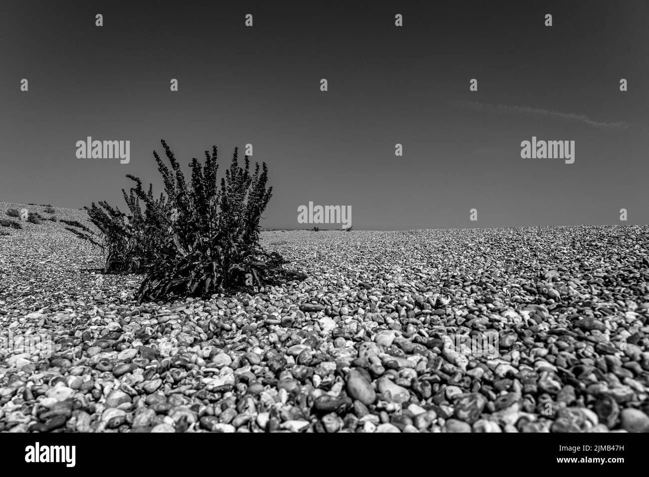 A grayscale background of pebbles with shrubs Stock Photo - Alamy