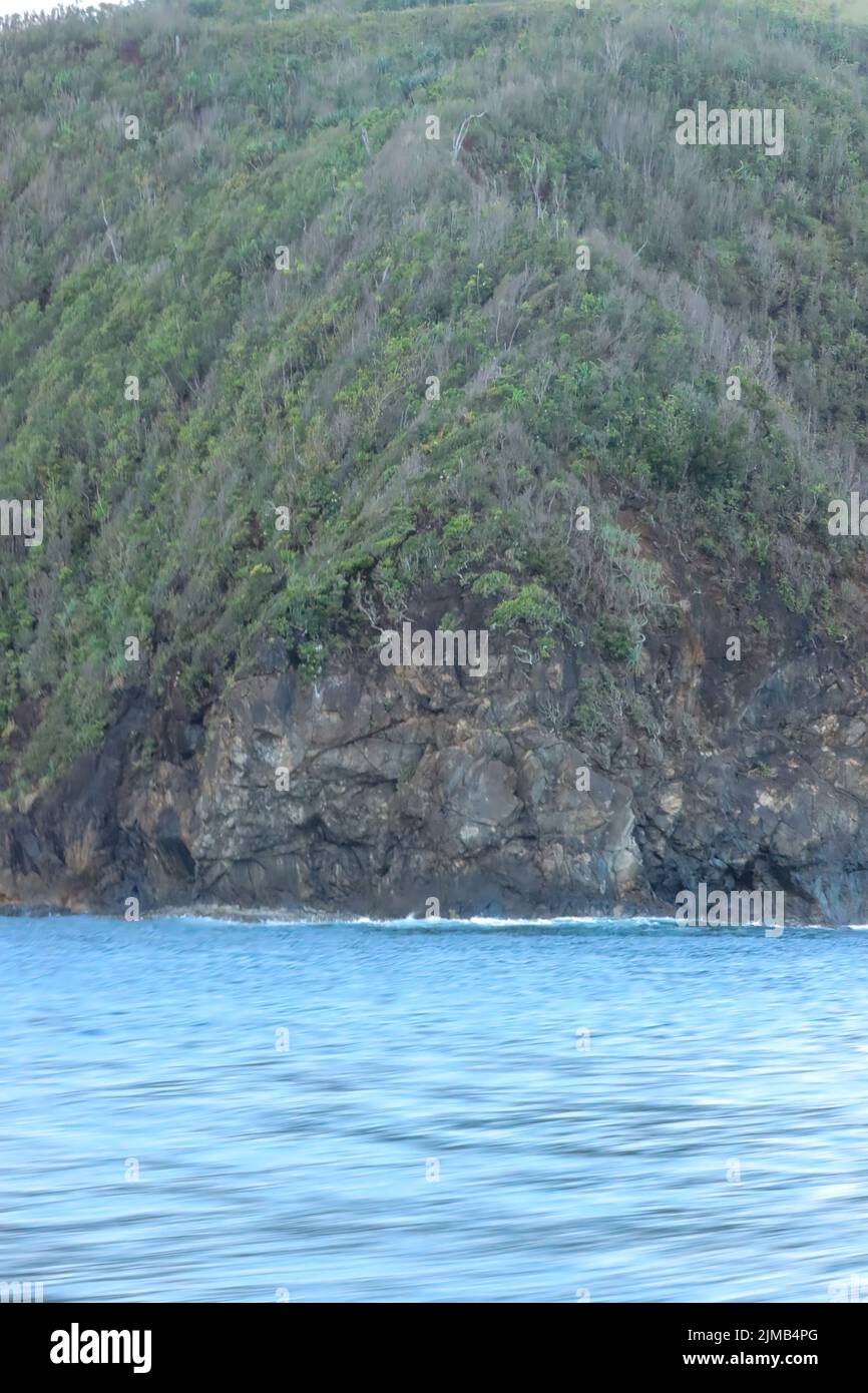 A vertical shot of a huge cliff with vegetation on the beach in the ...
