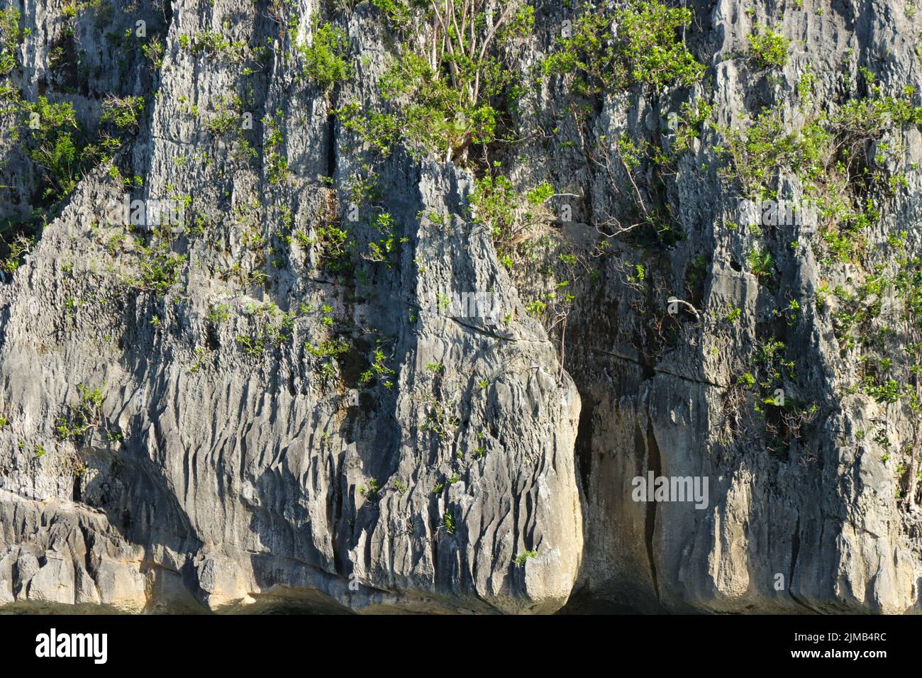 The cliffs on the beach in the Philippines Stock Photo - Alamy