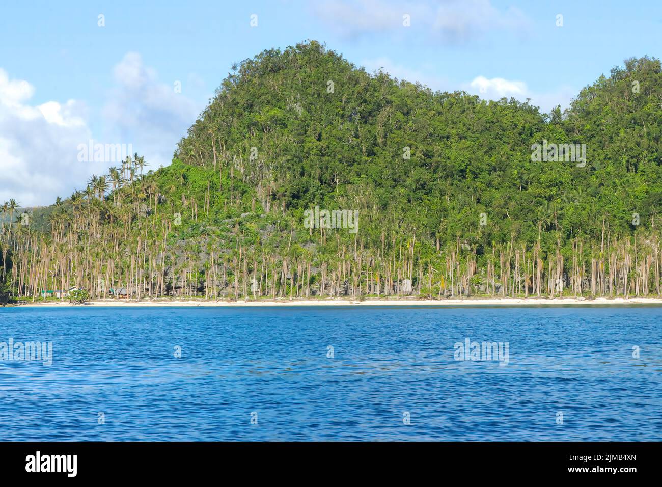 A view from the ocean of the beach with trees in the Philippines Stock ...