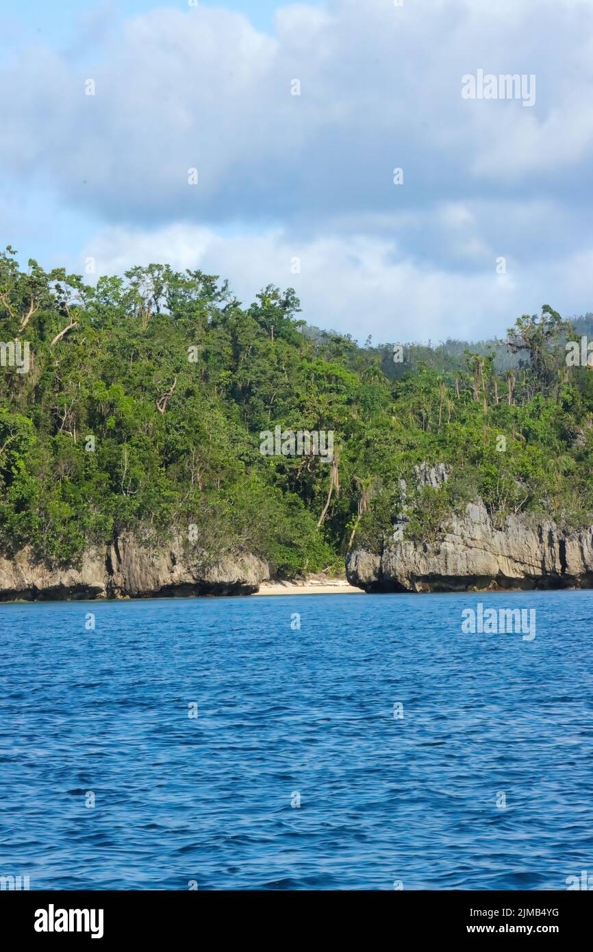 A vertical shot of the cliffs with trees on the beach in the ...