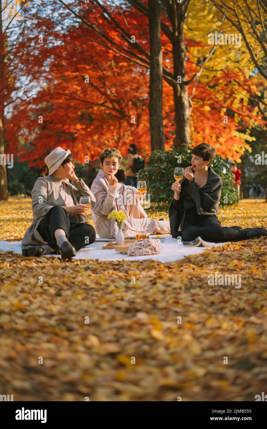 A beautiful shot of friends having a fun picnic at park during autumn ...
