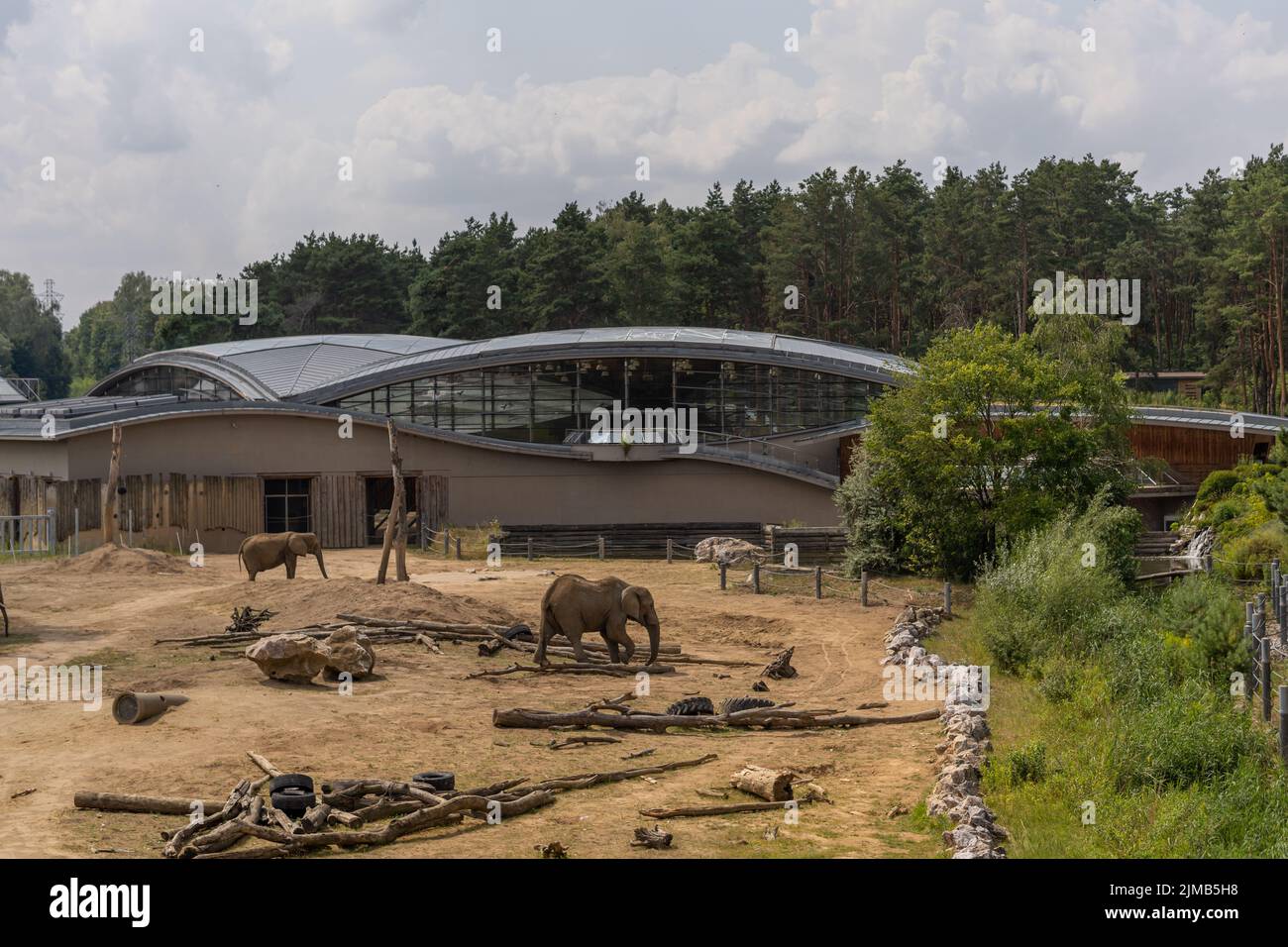 The African elephants and a large exploration building inside barrier ...