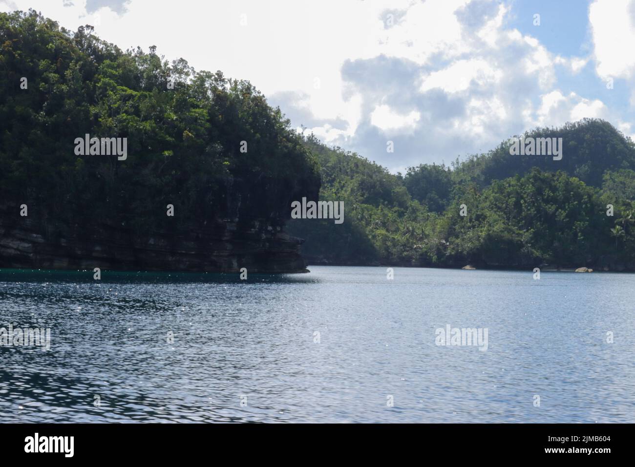 A beautiful view of green trees in the ocean in the Philippines Stock ...