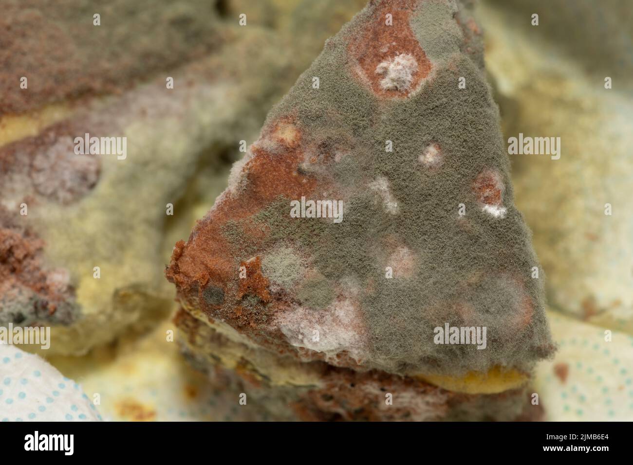 Mold cake hi-res stock photography and images - Alamy