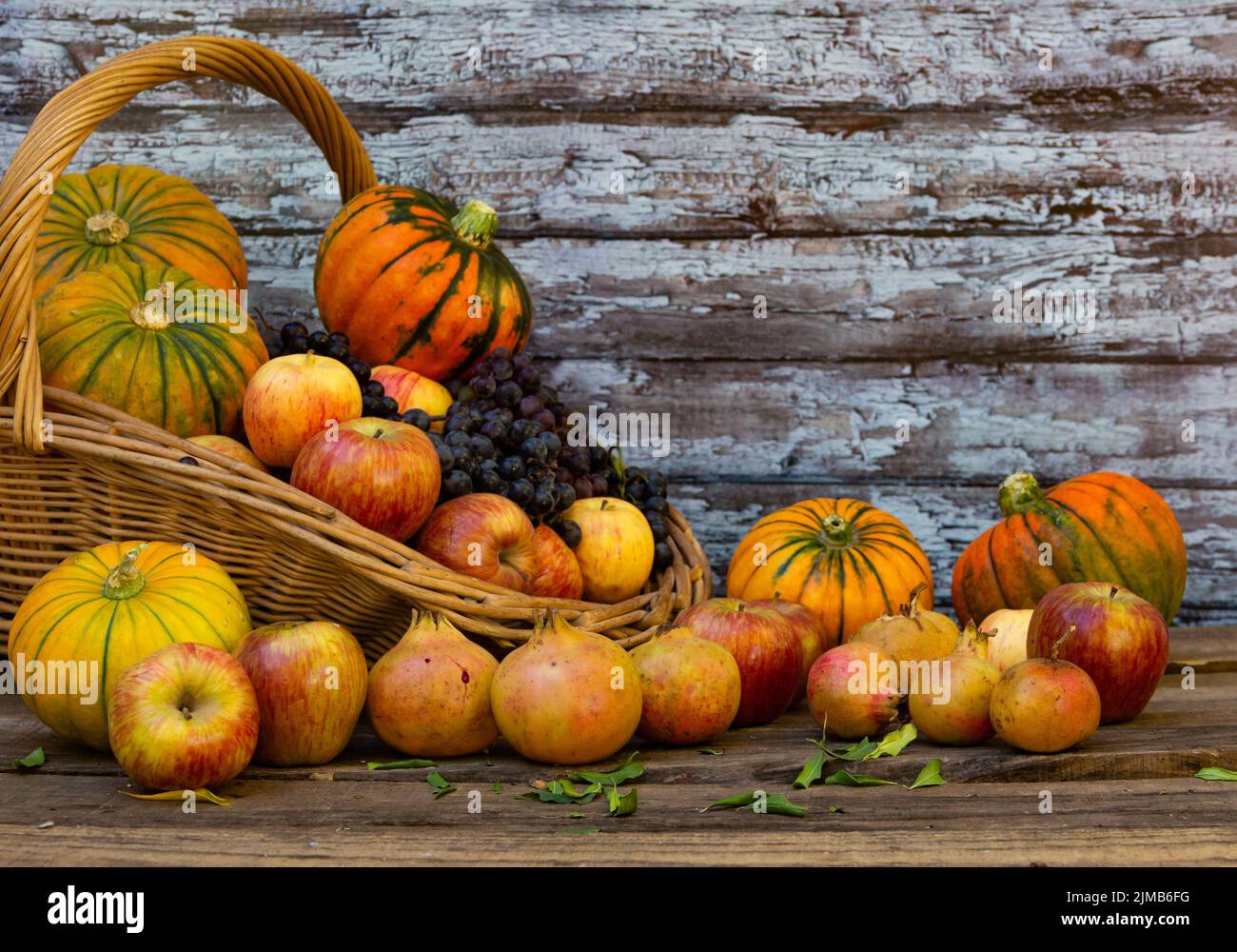 basket full of pumpkins, apples and various autumn fruits and flowers ...