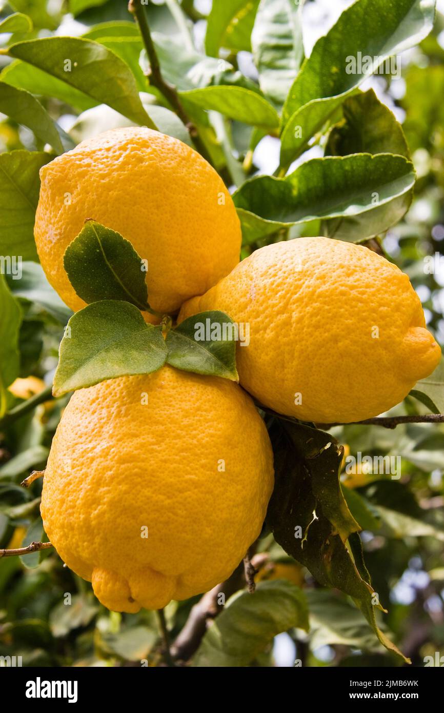 District island hi-res stock photography and images - Alamy