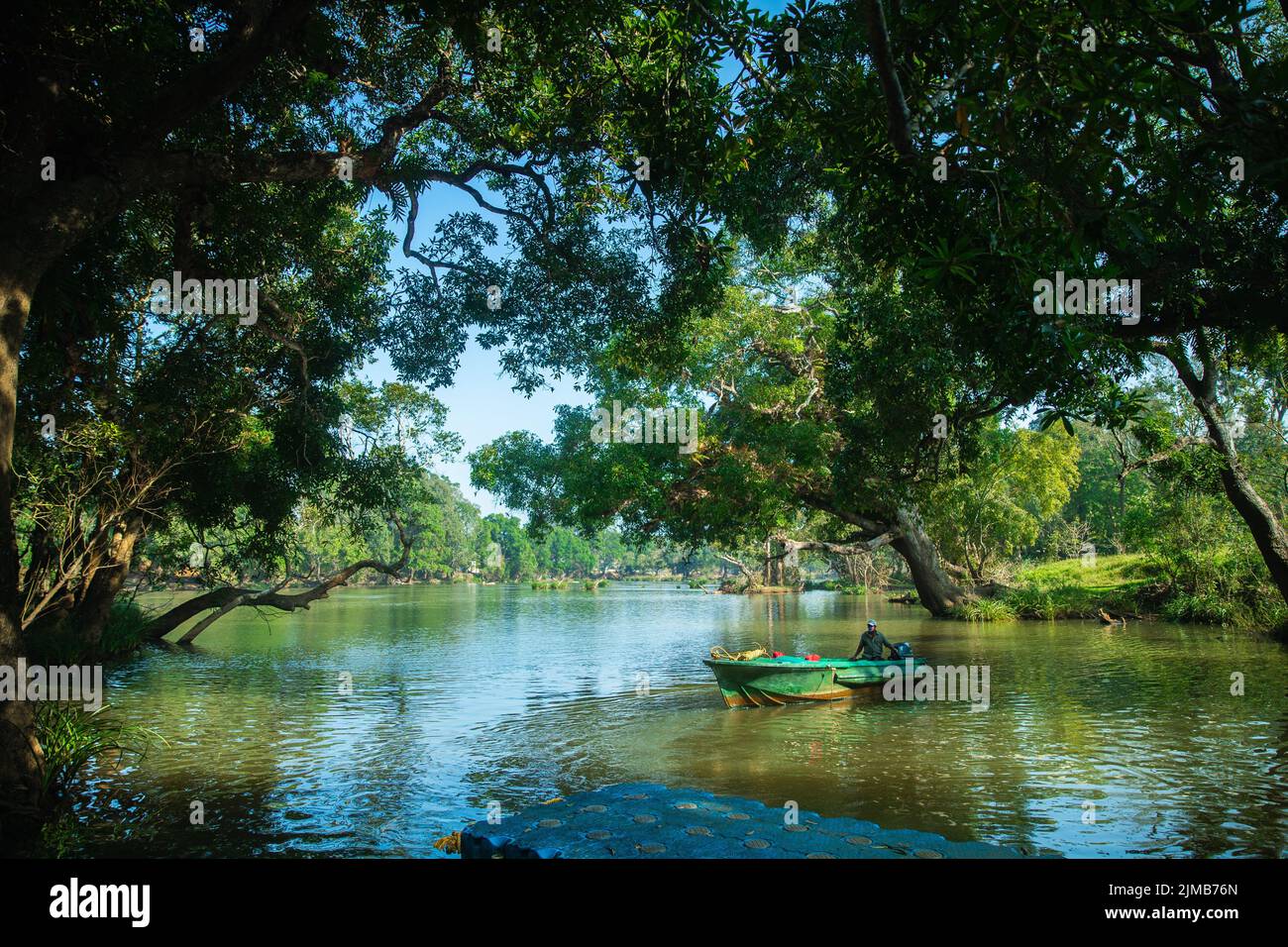Single boat and boat driver in river with green nature Stock Photo - Alamy