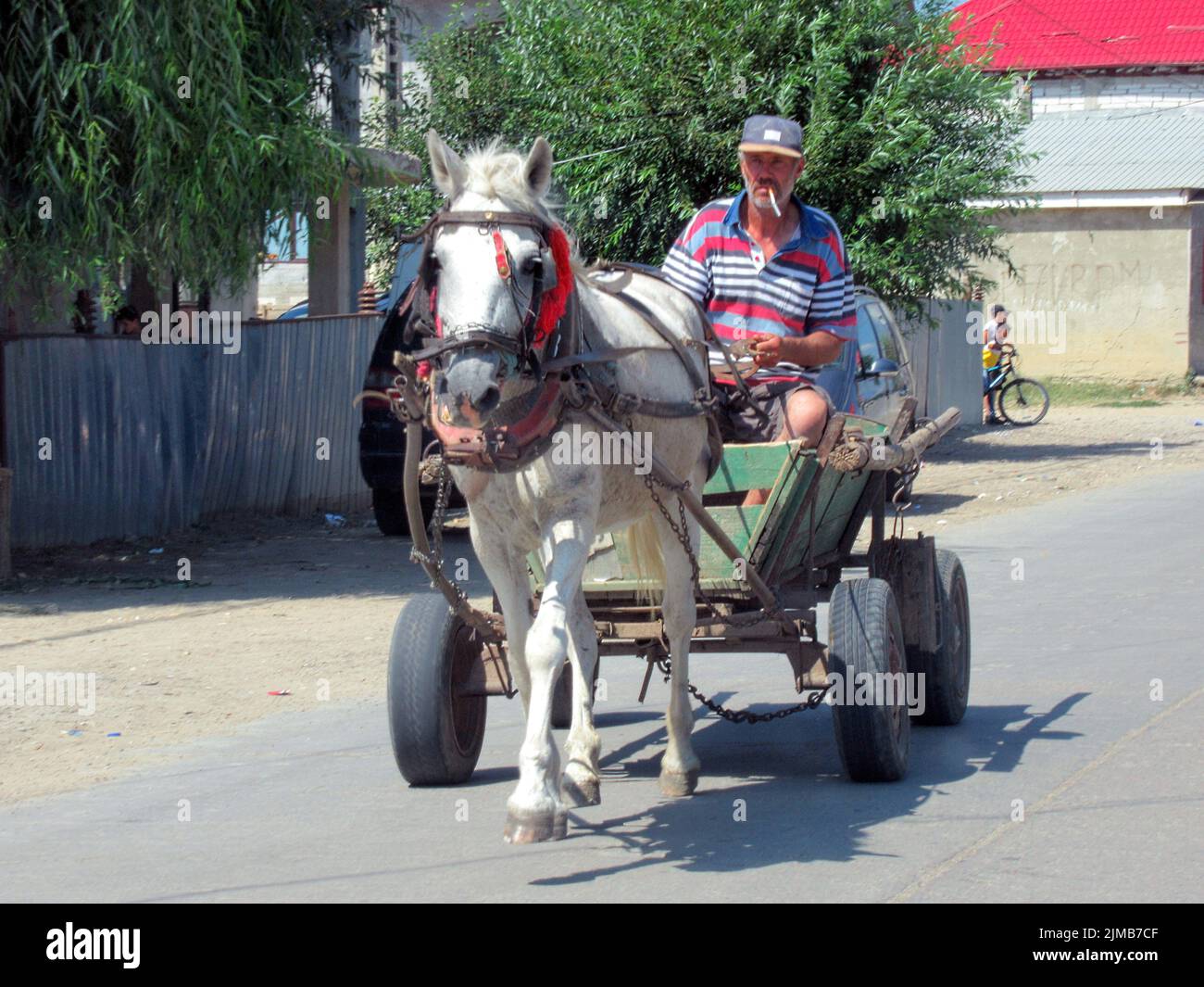 Backwards horse hi-res stock photography and images - Alamy