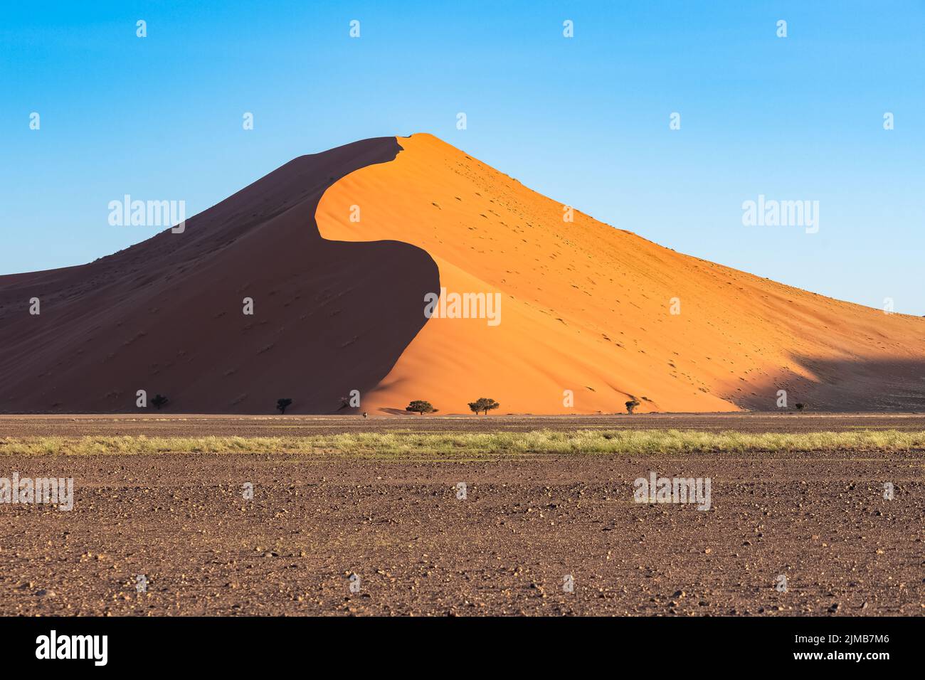 Namibia, the Namib desert, graphic landscape of yellow dunes, rain ...