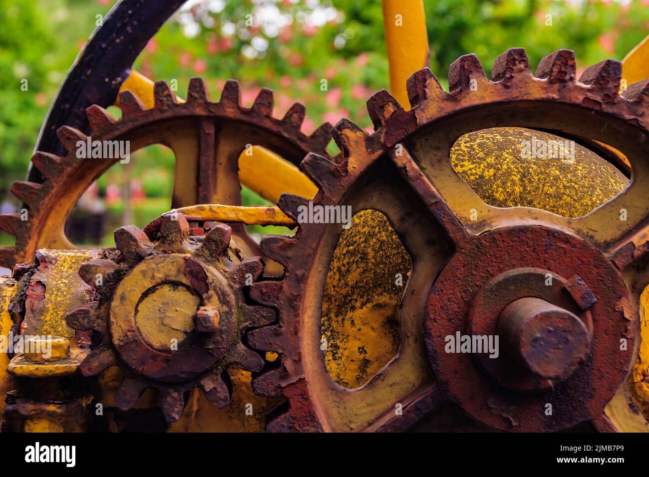 Cog wheel shaped hi-res stock photography and images - Alamy
