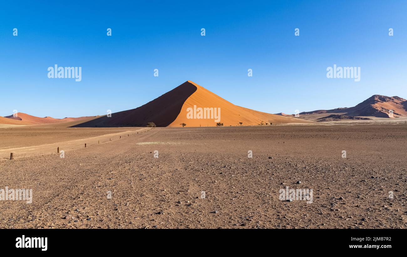 Namibia, the Namib desert, graphic landscape of yellow dunes, rain season Stock Photo - Alamy