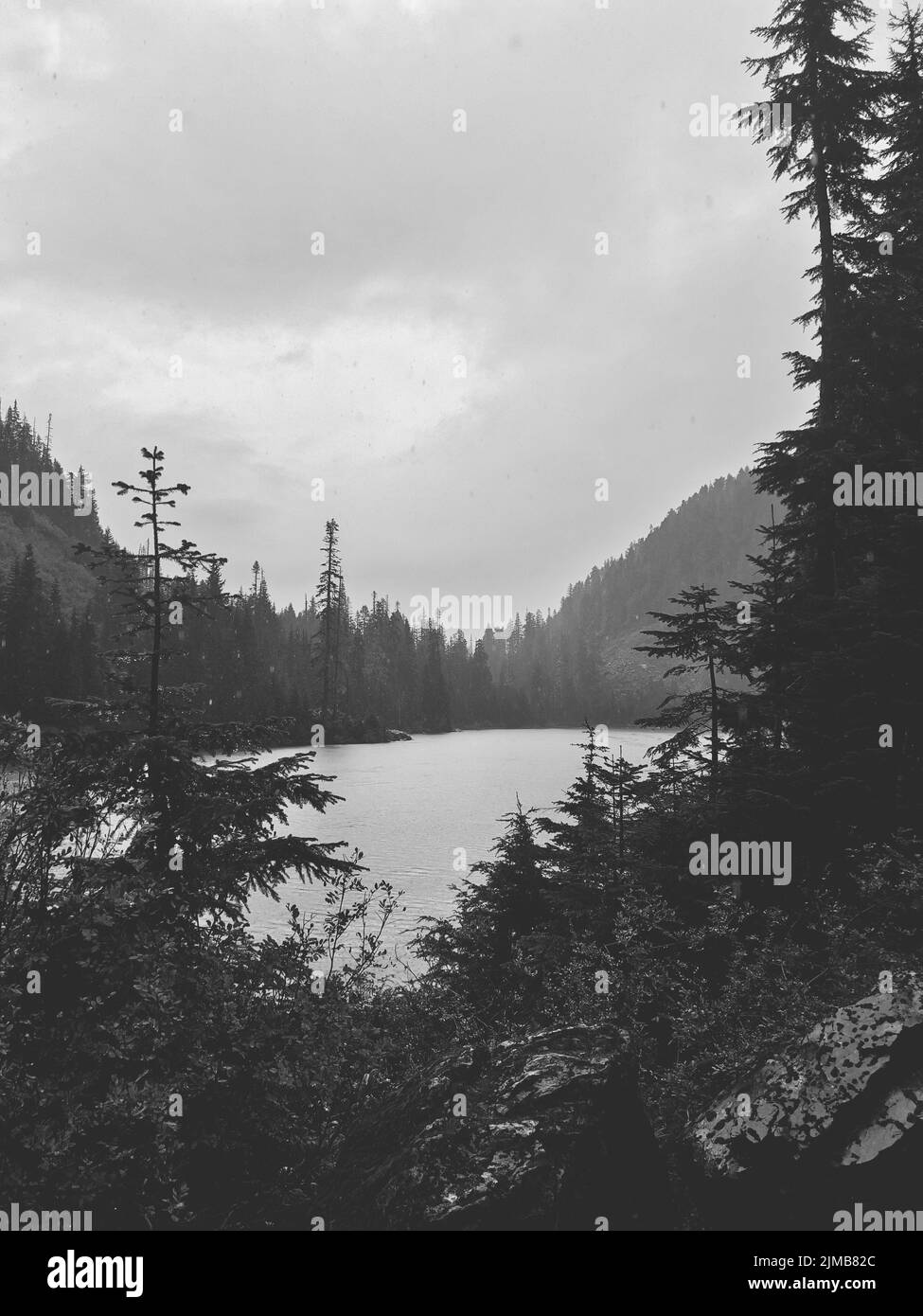 A vertical grayscale shot of natural scenery with a lake surrounded by ...