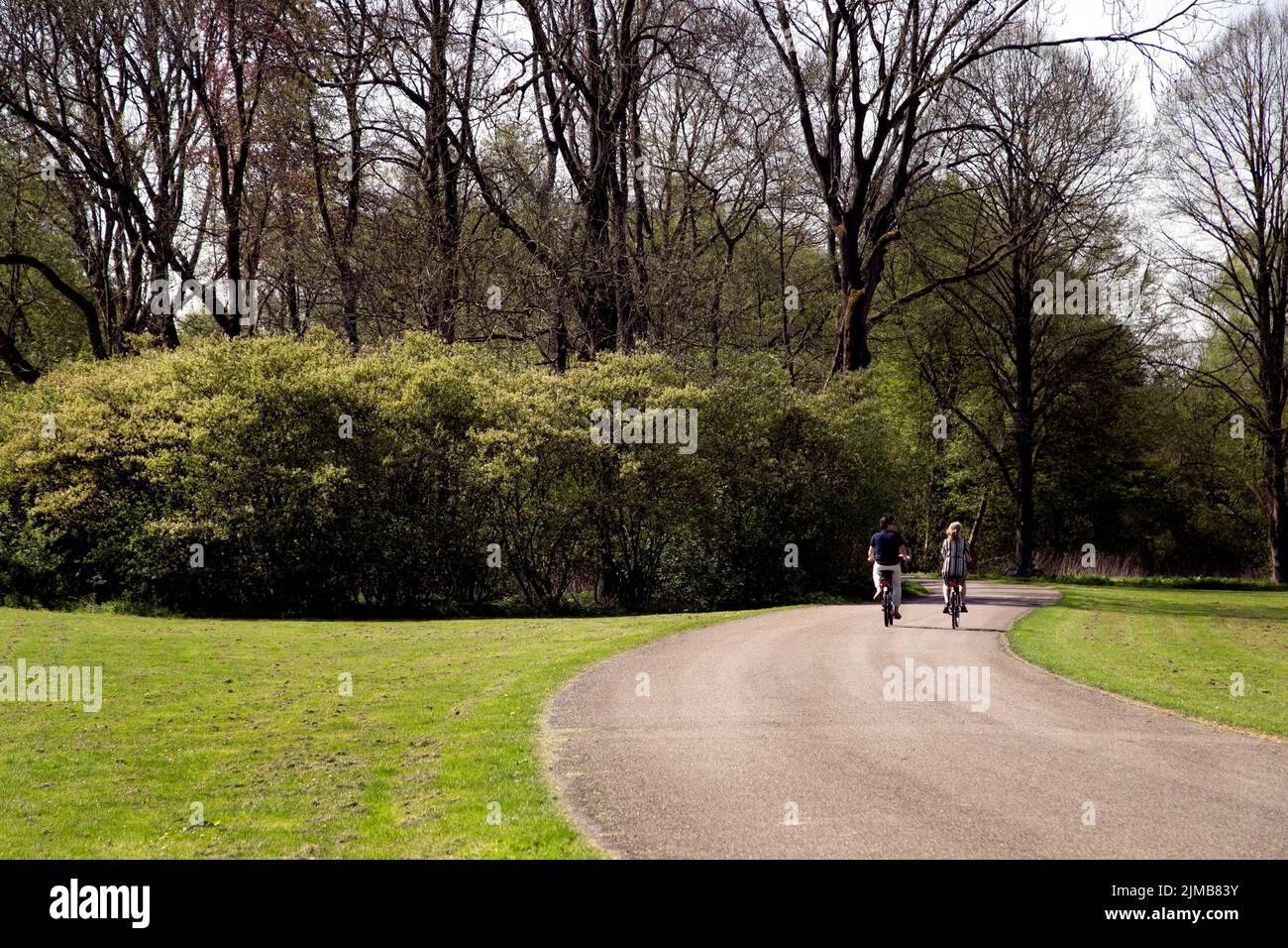 Cycling road trees hi-res stock photography and images - Alamy