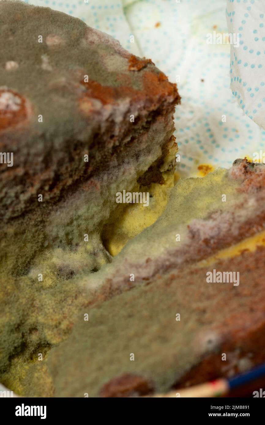 Mold cake hi-res stock photography and images - Alamy