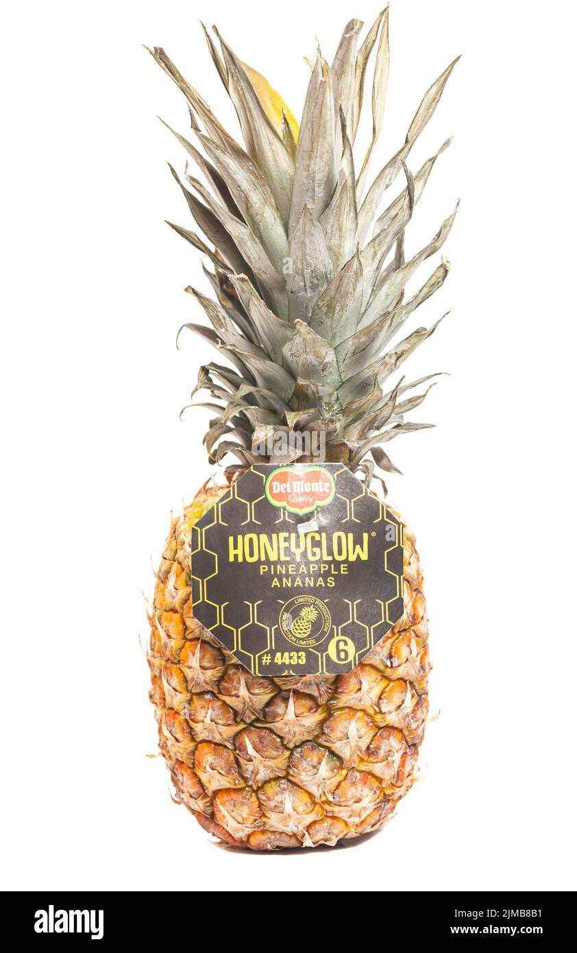 Moscow, Russia, August 05,2022: Pineapple Del Monte isolated on white ...