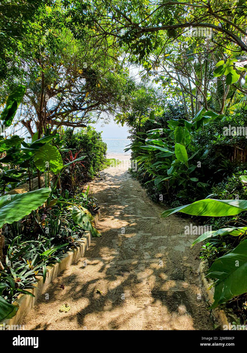 Scenic green shrubs and trees opening up into a beach Stock Photo - Alamy