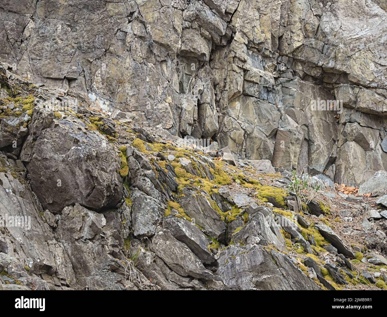 Cliff surface hi-res stock photography and images - Alamy