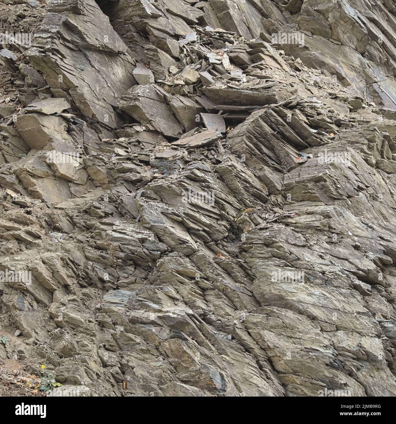 Slate - Surface of a cliff, Harz Mountains, Germany Stock Photo - Alamy