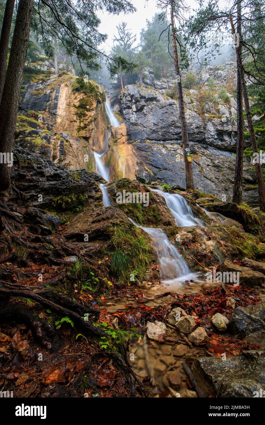 Waterfall in forest landscape long exposure flowing over rocks Stock ...