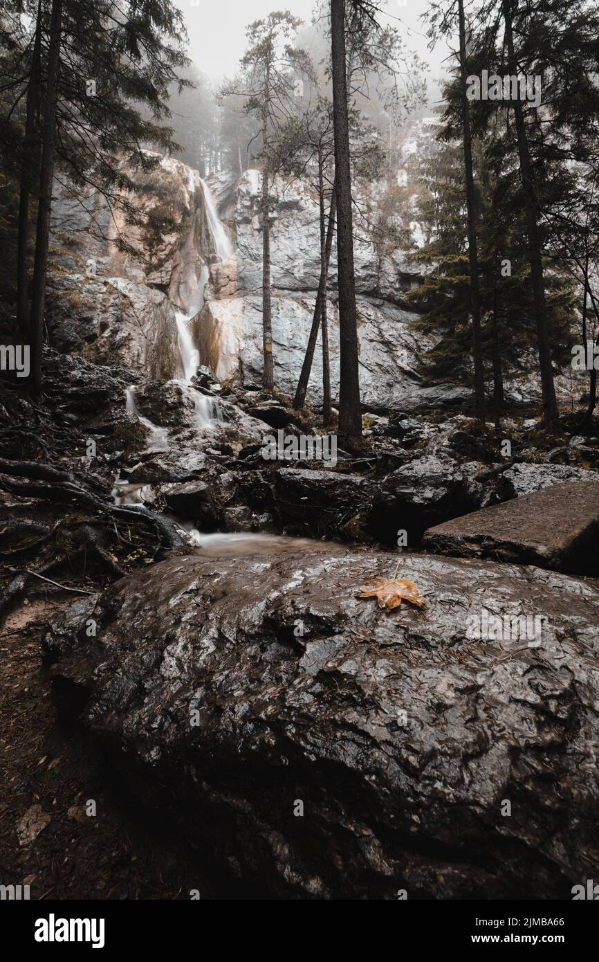 Waterfall in forest landscape long exposure flowing over rocks Stock ...