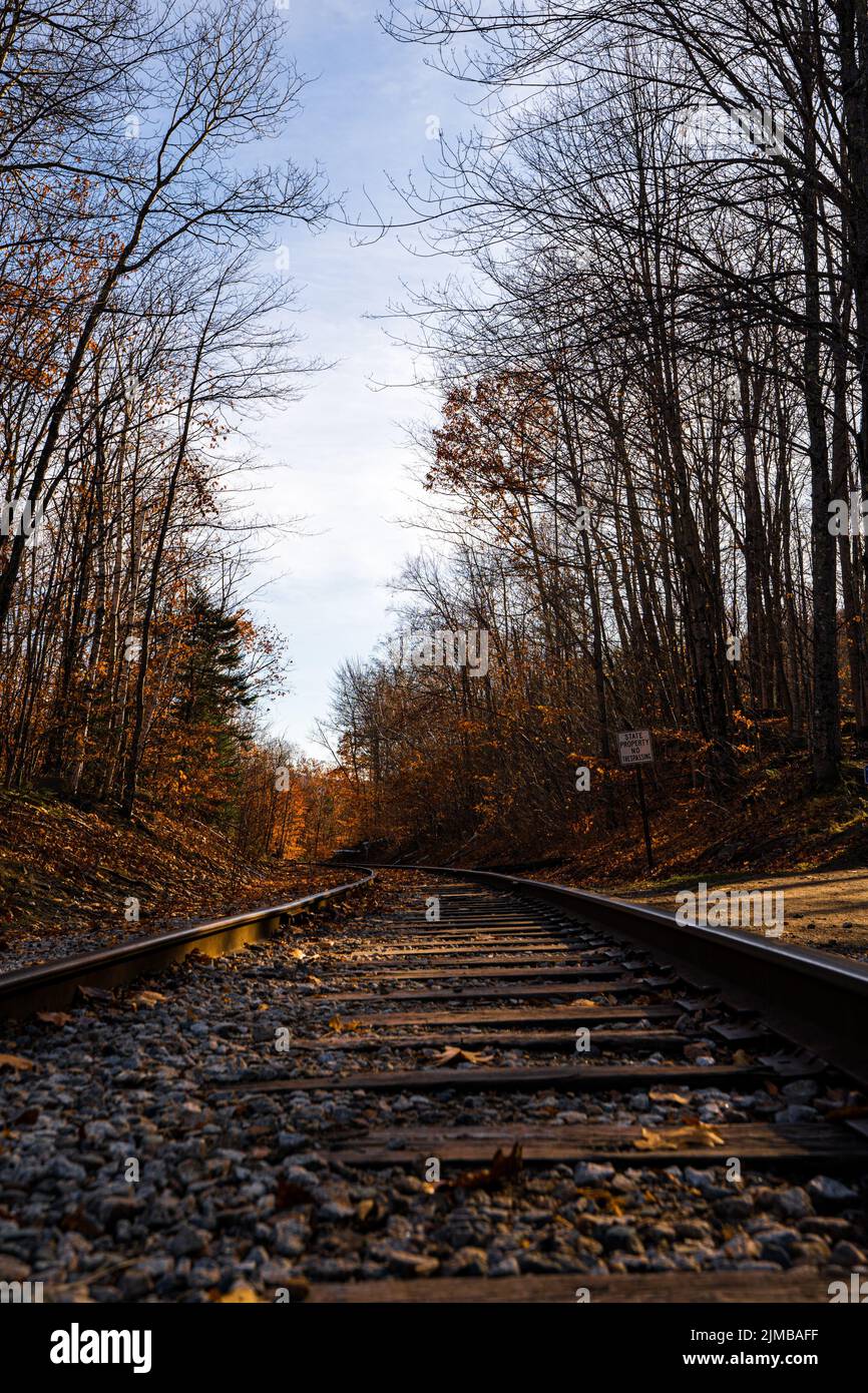 A railway of train with trees on the side Stock Photo - Alamy