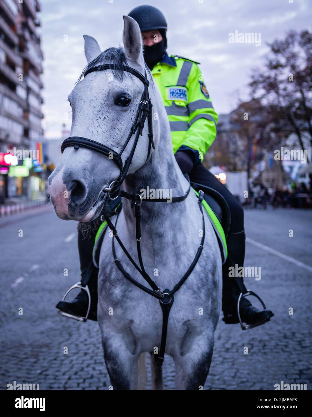 A vertical closeup of a police worker riding a beautiful white horse in ...