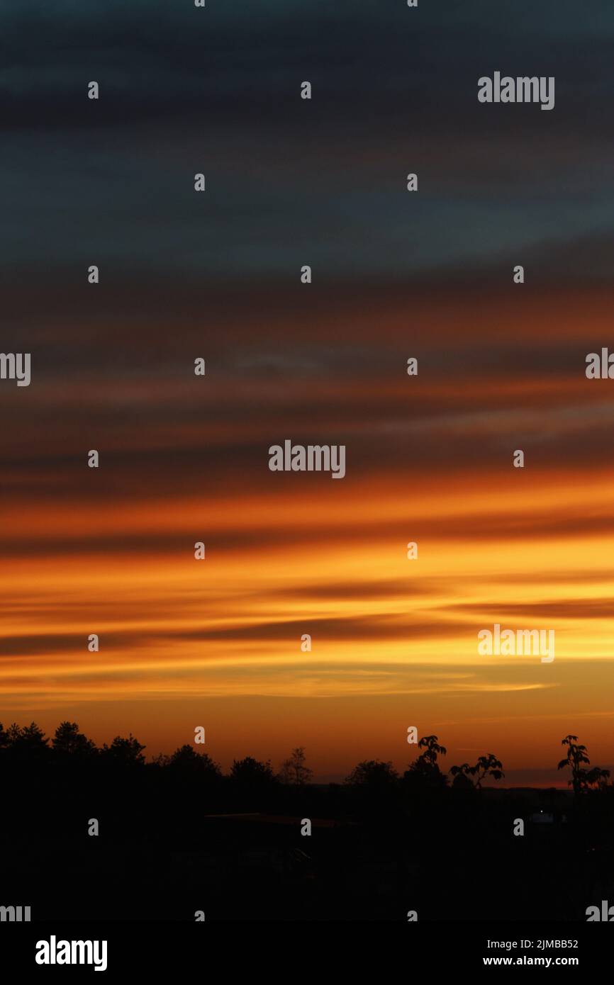 A silhouette of tree tops on the sunset Stock Photo - Alamy