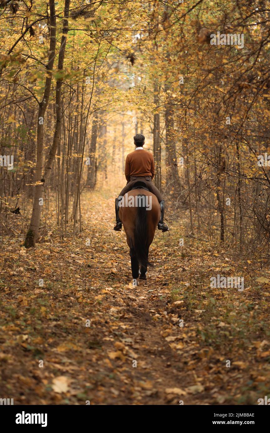 Male horse rider hi-res stock photography and images - Alamy