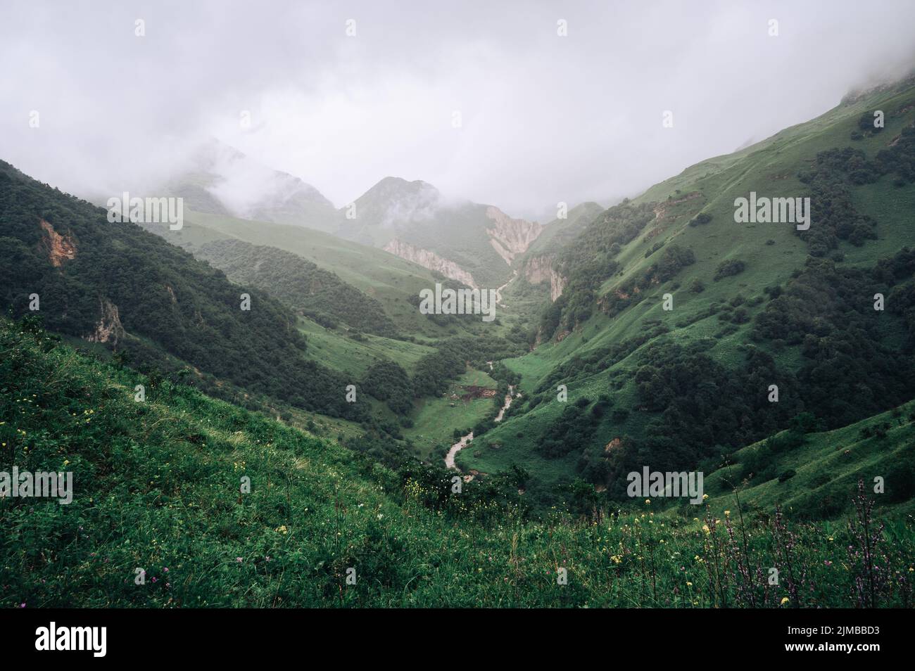 A beautiful wooded hills through a deep valley where a small river ...