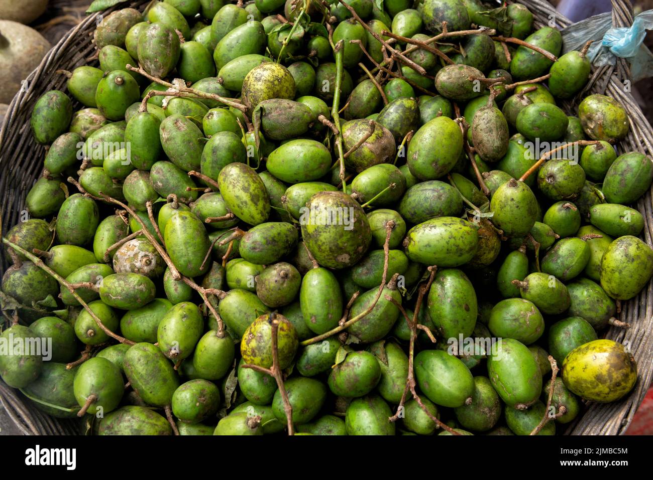Hog plum hi-res stock photography and images - Alamy