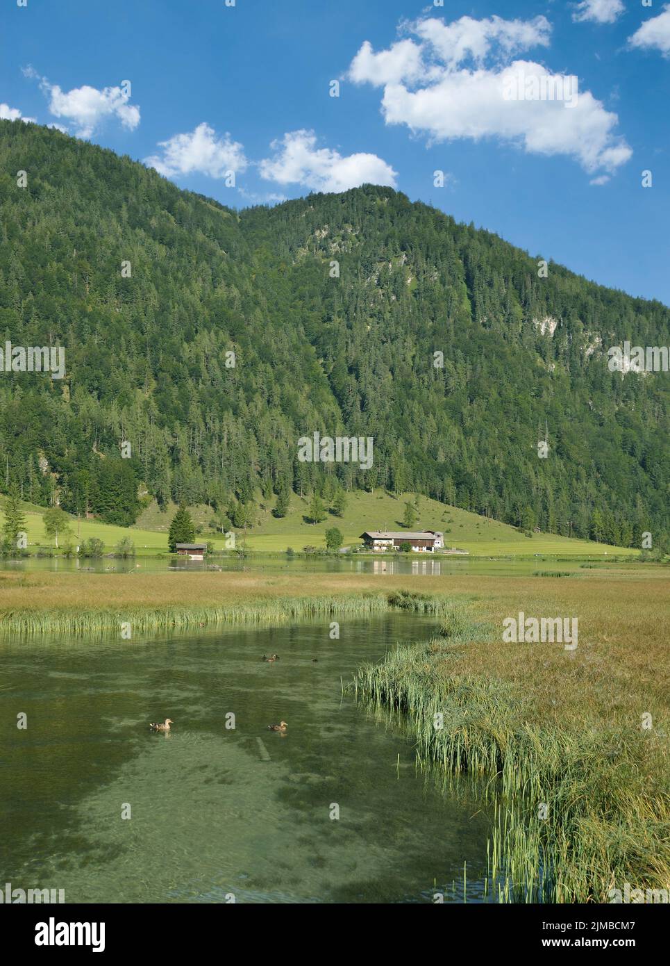 Fieberbrunn pillerseetal hi-res stock photography and images - Alamy