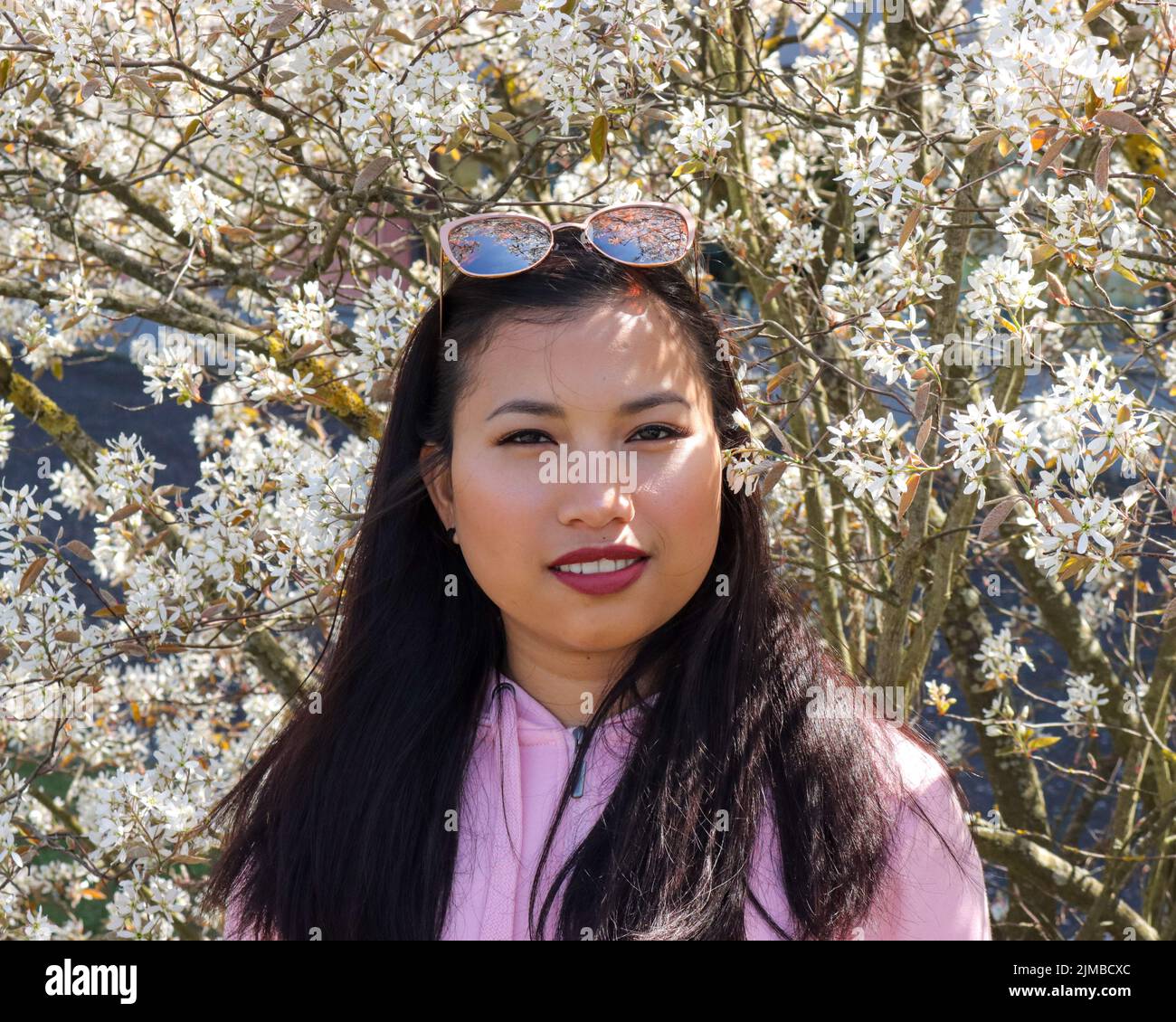 A beautiful South Asian female in a garden with a blossom tree Stock ...