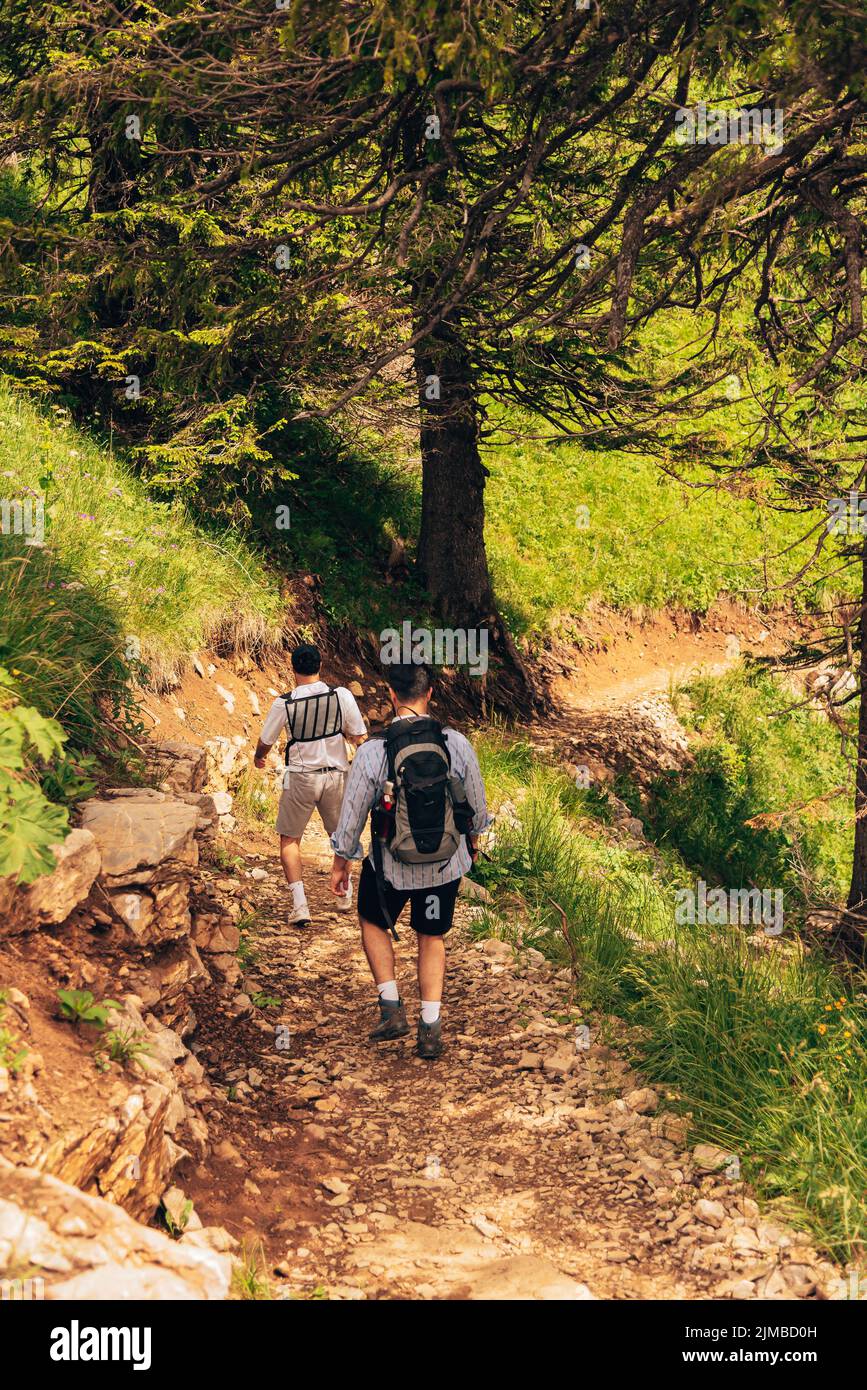 A vertical shot of two young male walking alone the rocky path in the ...