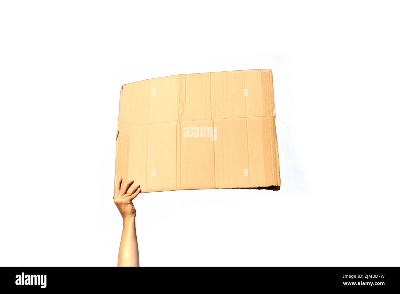 A cardboard Signs empty held by a hand on a white background ready for ...