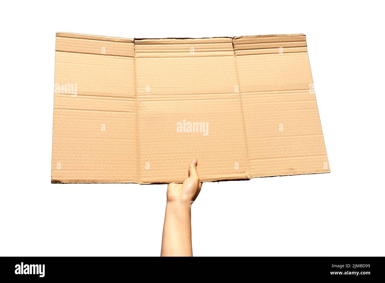 A cardboard Signs empty held by a hand on a white background ready for ...