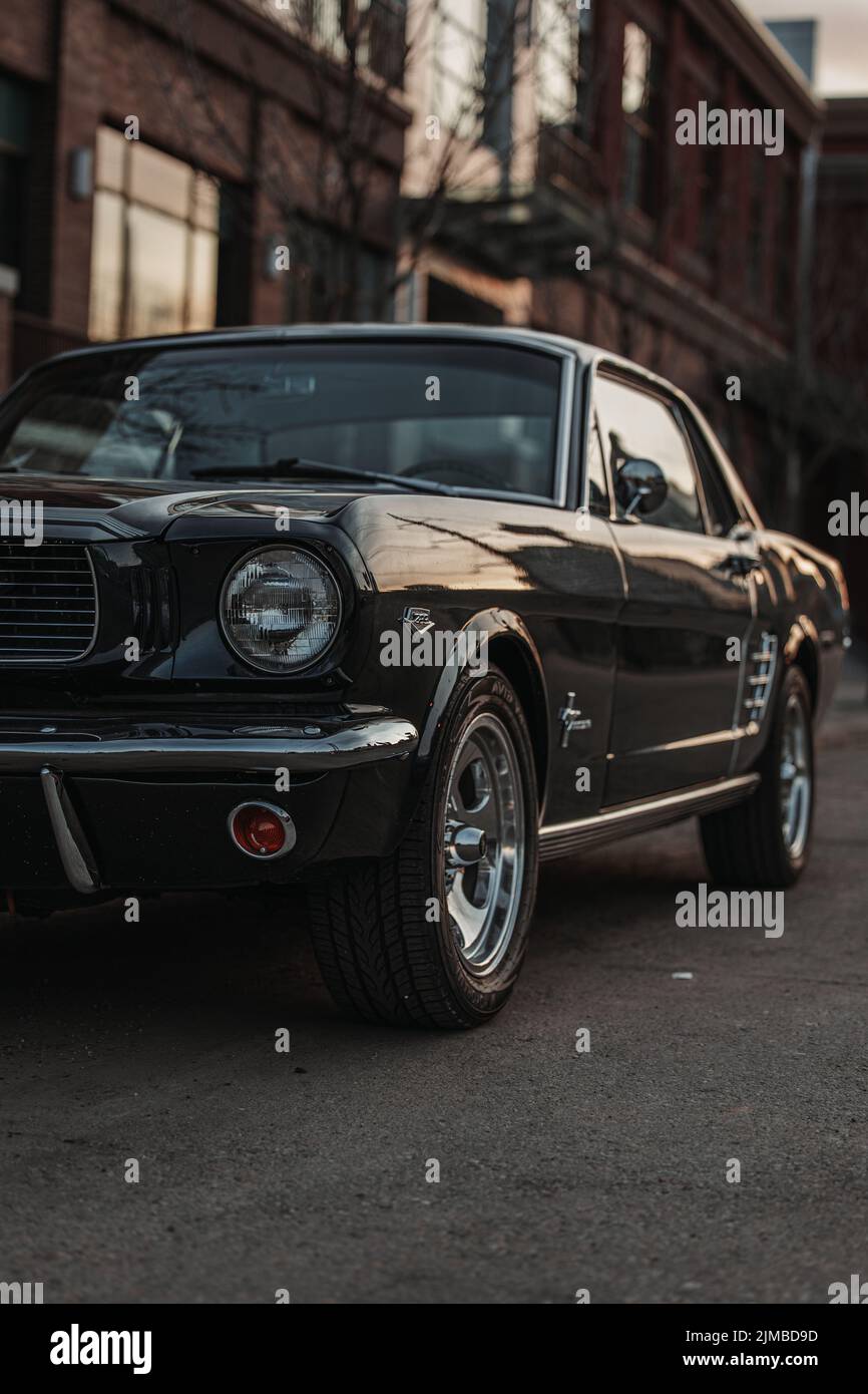 Vertical picture of half of the front end of a classic Ford Mustang ...