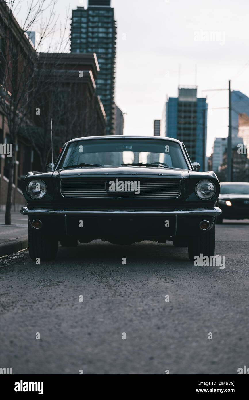 Vertical picture of the front end of a Ford Mustang Stock Photo - Alamy