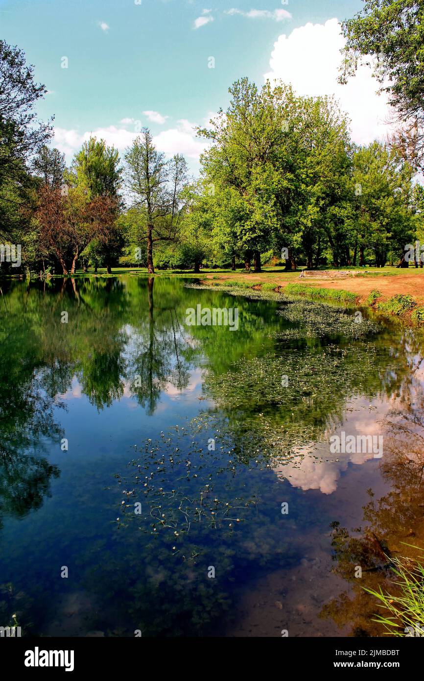 A beautiful view of green trees and a clear sky reflected in the small ...