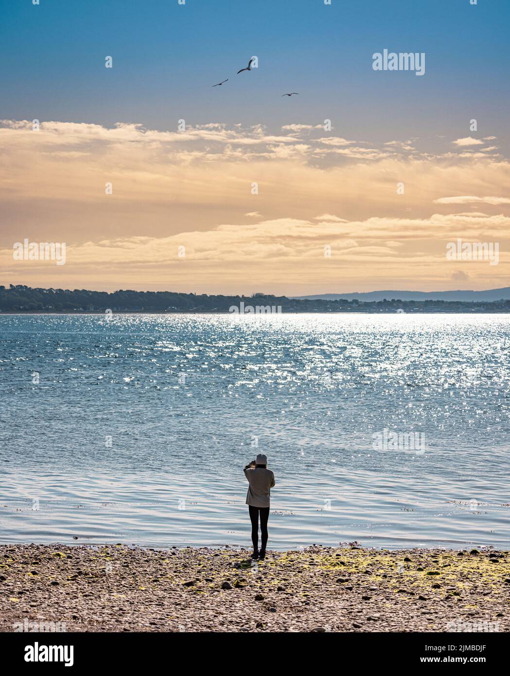 A back view of woman standing on the sandy beach taking a photo of the ...