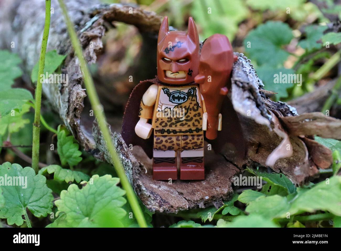 Caveman club hi-res stock photography and images - Alamy