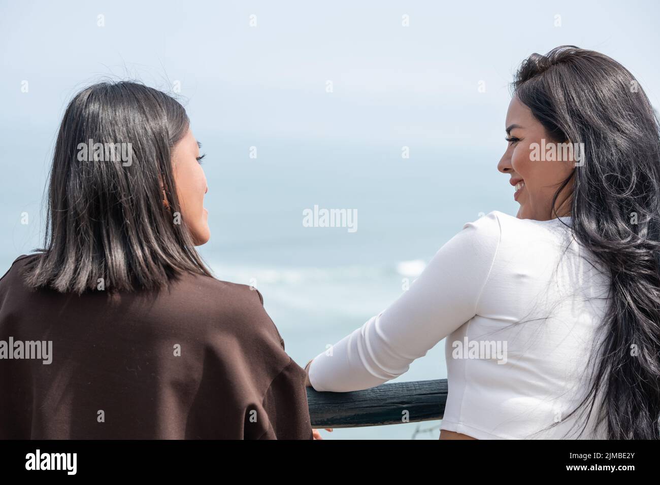 Back of two friends talking while looking the landscape from a ...