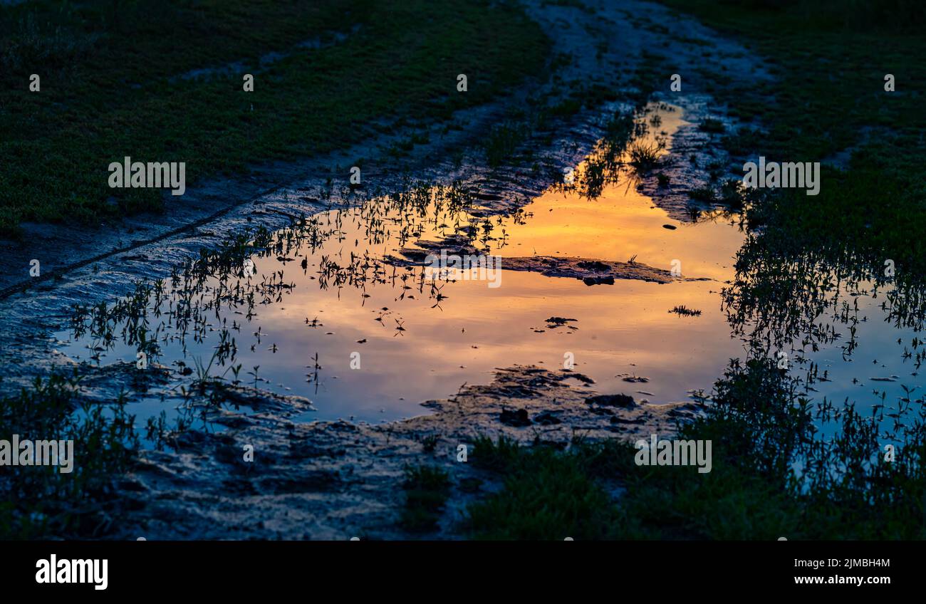 A scenic sunset reflected in a puddle Stock Photo - Alamy