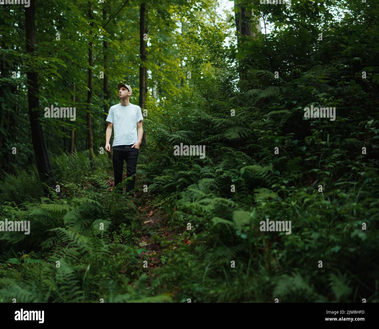 A male hiker in a dense green forest Stock Photo - Alamy