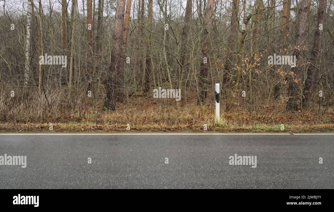 Roadside with reflector post in front of dense undergrowth, Germany ...