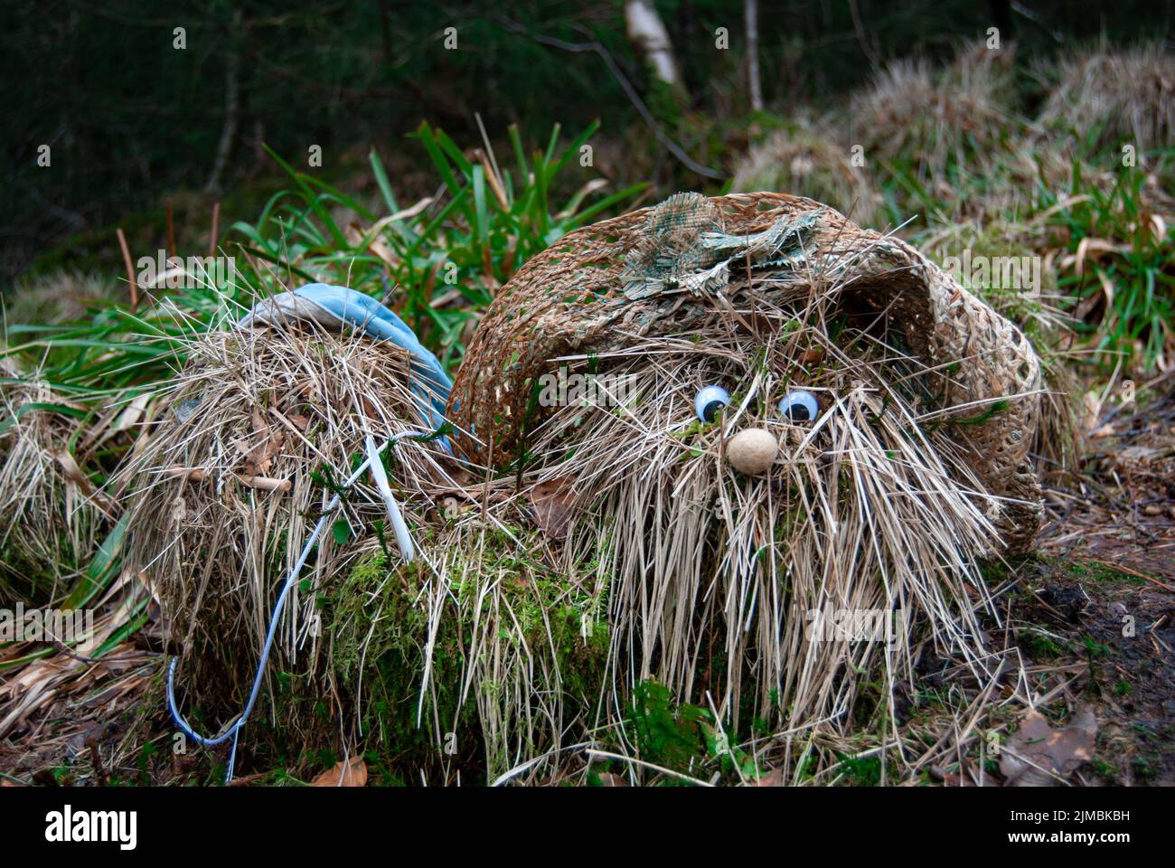 A closeup of a bunch of straw with a round nose and googly eyes Stock ...