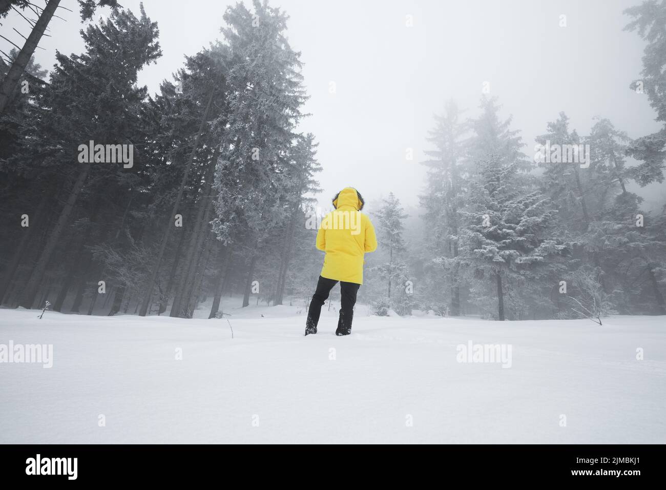 Back view closeup of Person wearing yellow jacket and hat, walking in ...