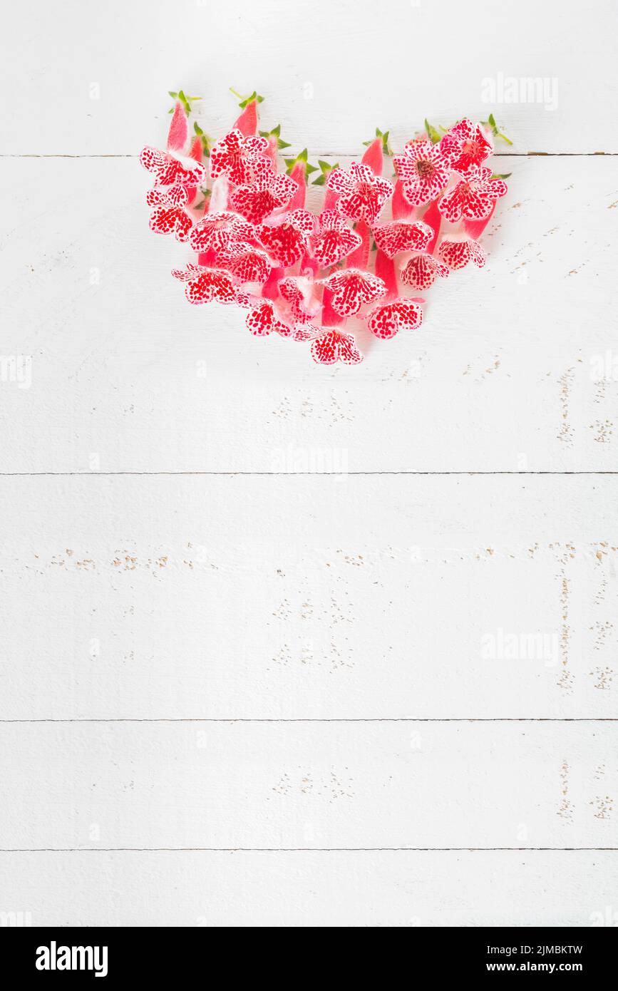 Delicate red spring flowers hi-res stock photography and images - Alamy