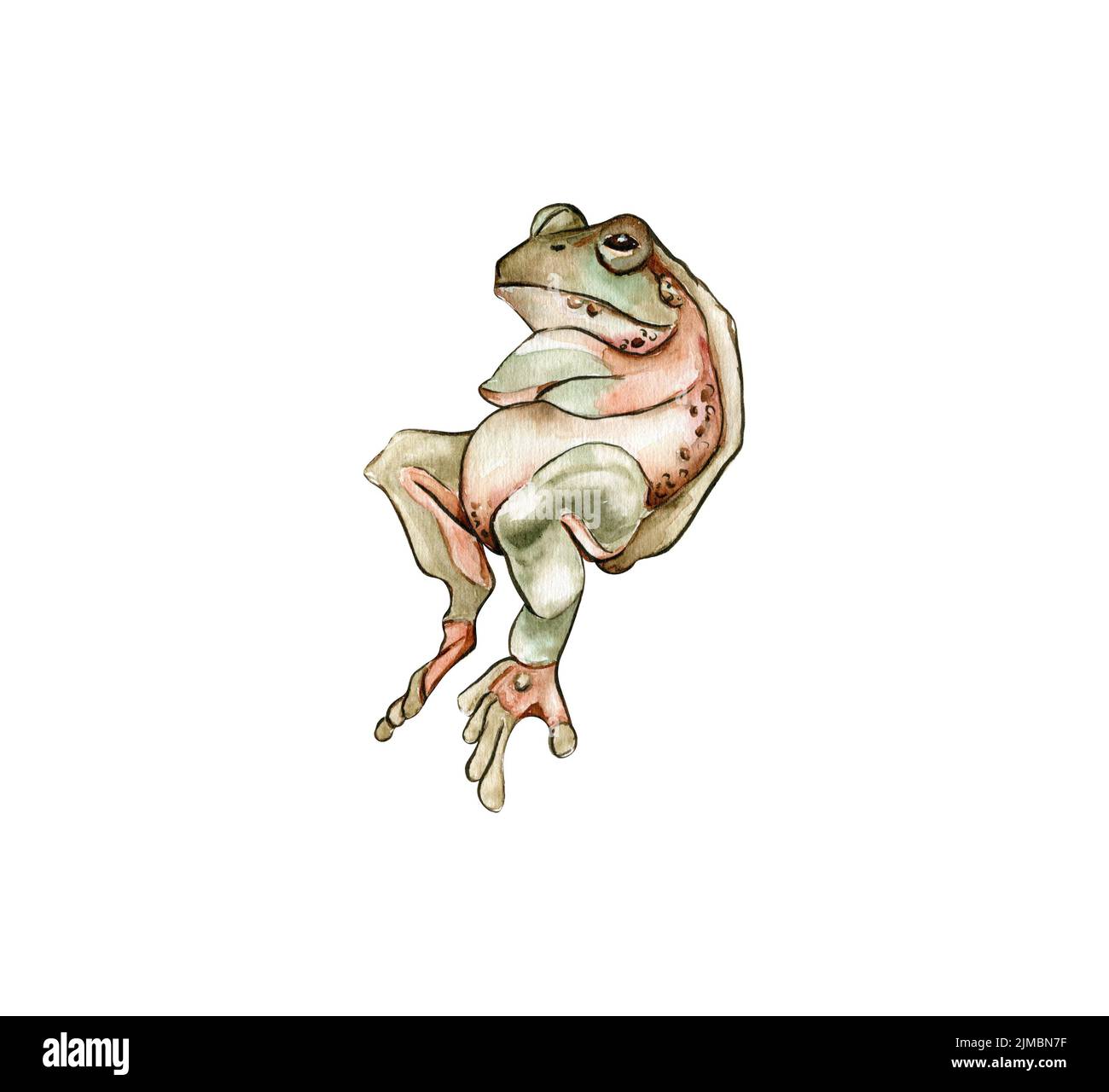 Watercolor toad from tales Fayry tales Stock Photo - Alamy