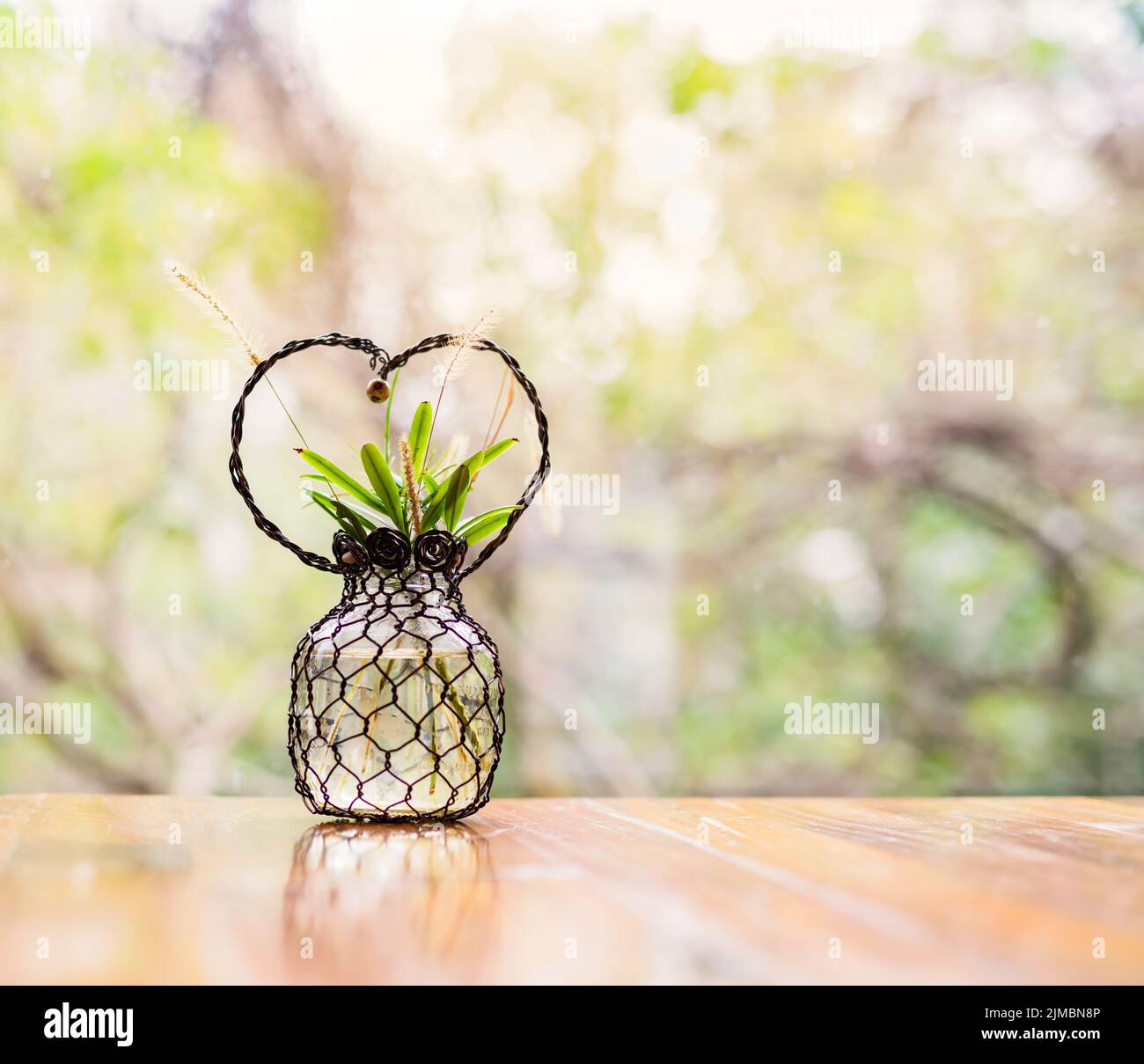 Beautiful shape plant hi-res stock photography and images - Alamy